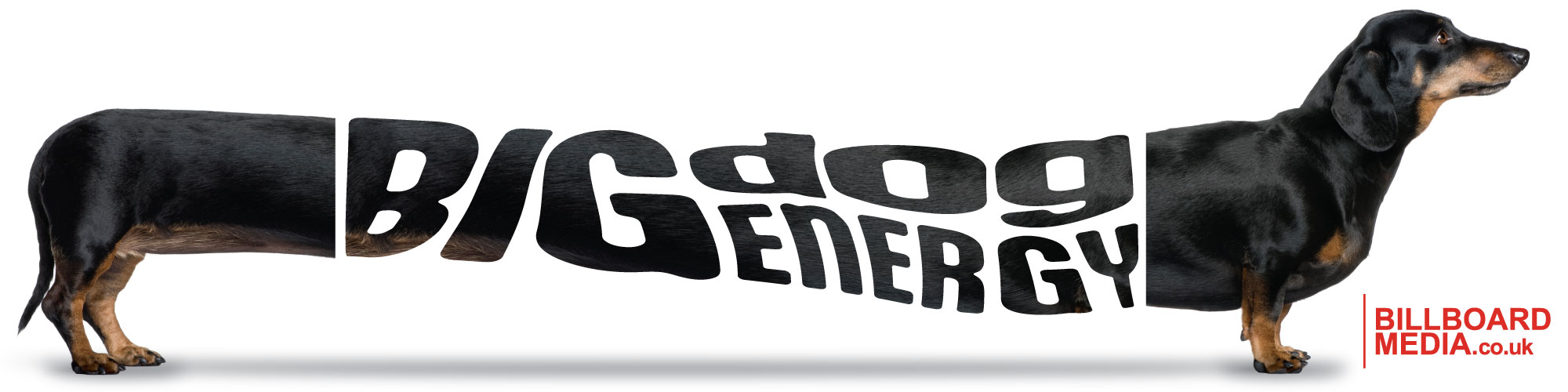 Big Dog Energy: Go bold with our 96-sheets | Billboard Media